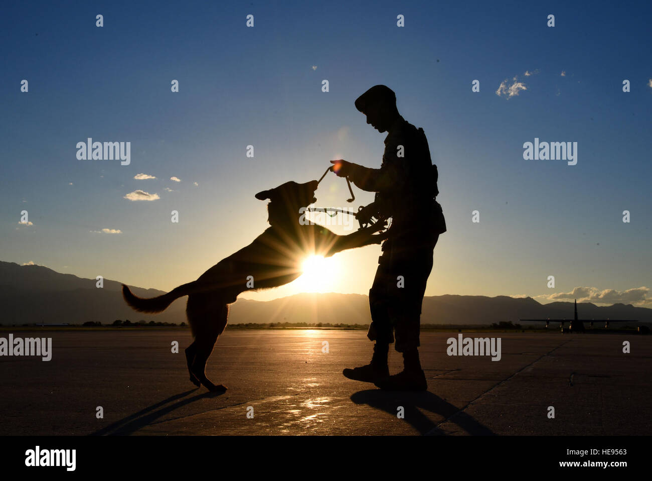 Canine inspections hi-res stock photography and images - Alamy