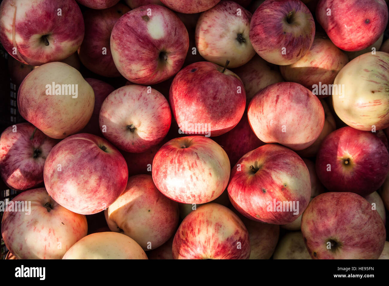 Red apples background, top view Stock Photo - Alamy