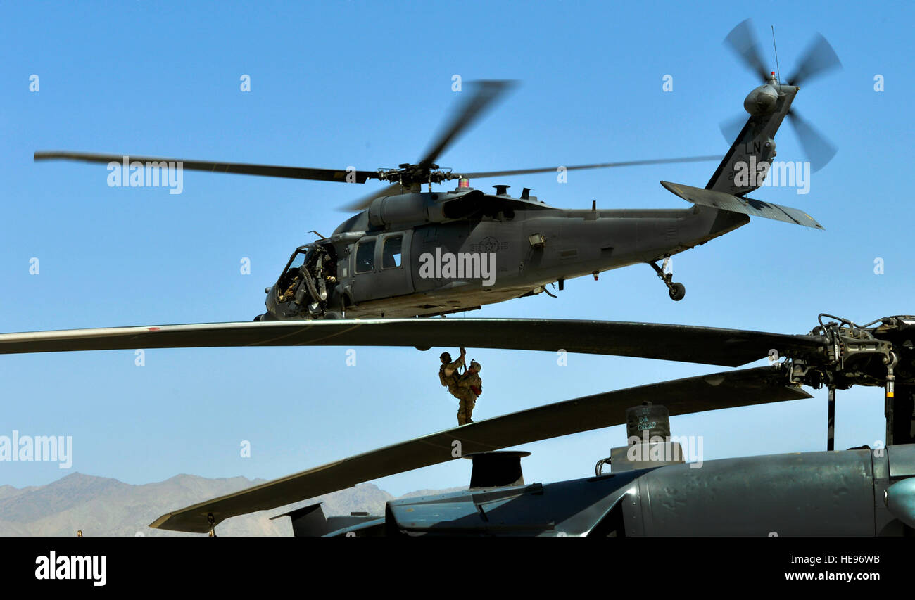 U.S. Army tactical explosive detection dogs and their handlers take ...