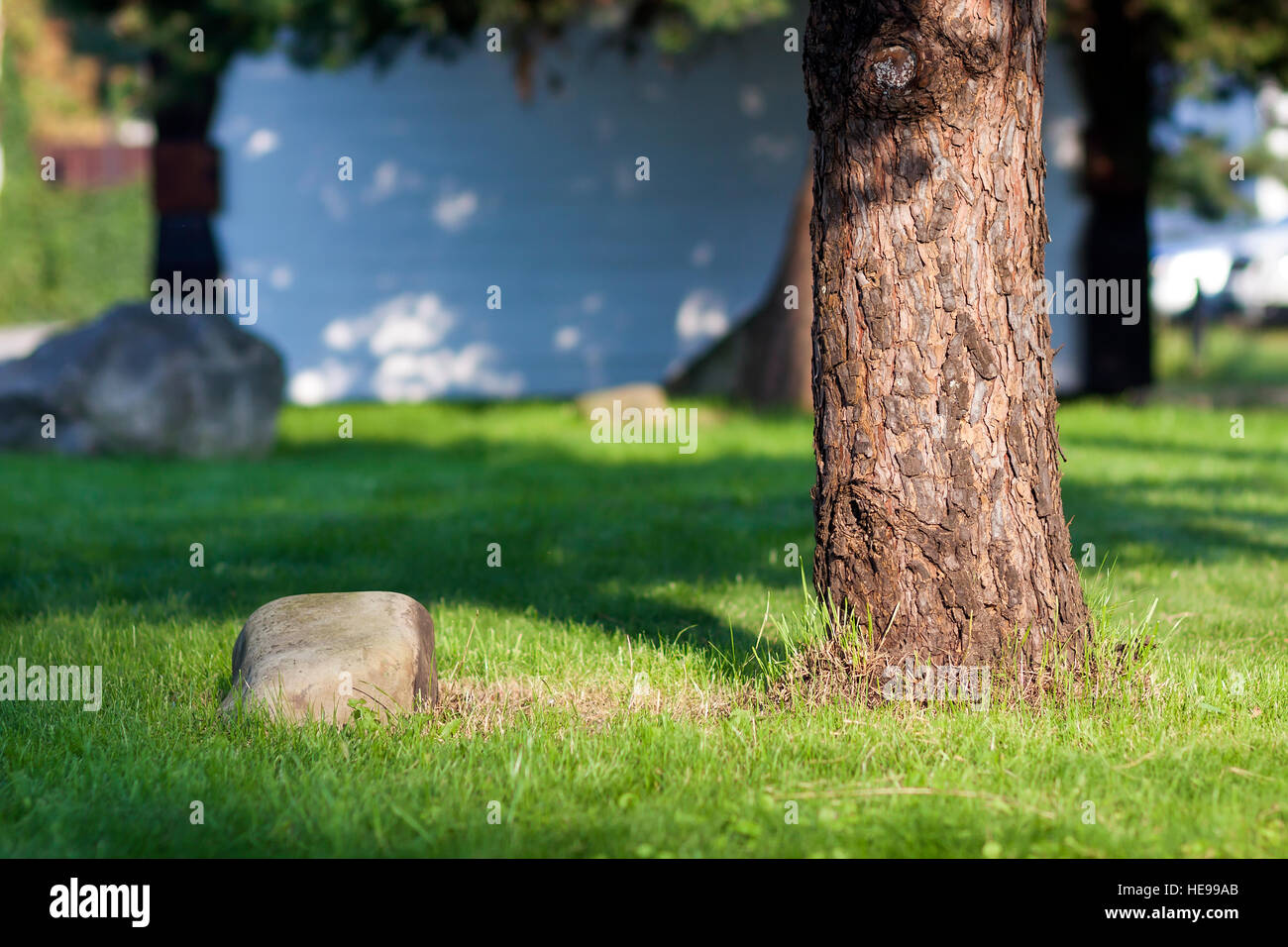 Trunk of a tree and big stone on green grass loan Stock Photo - Alamy