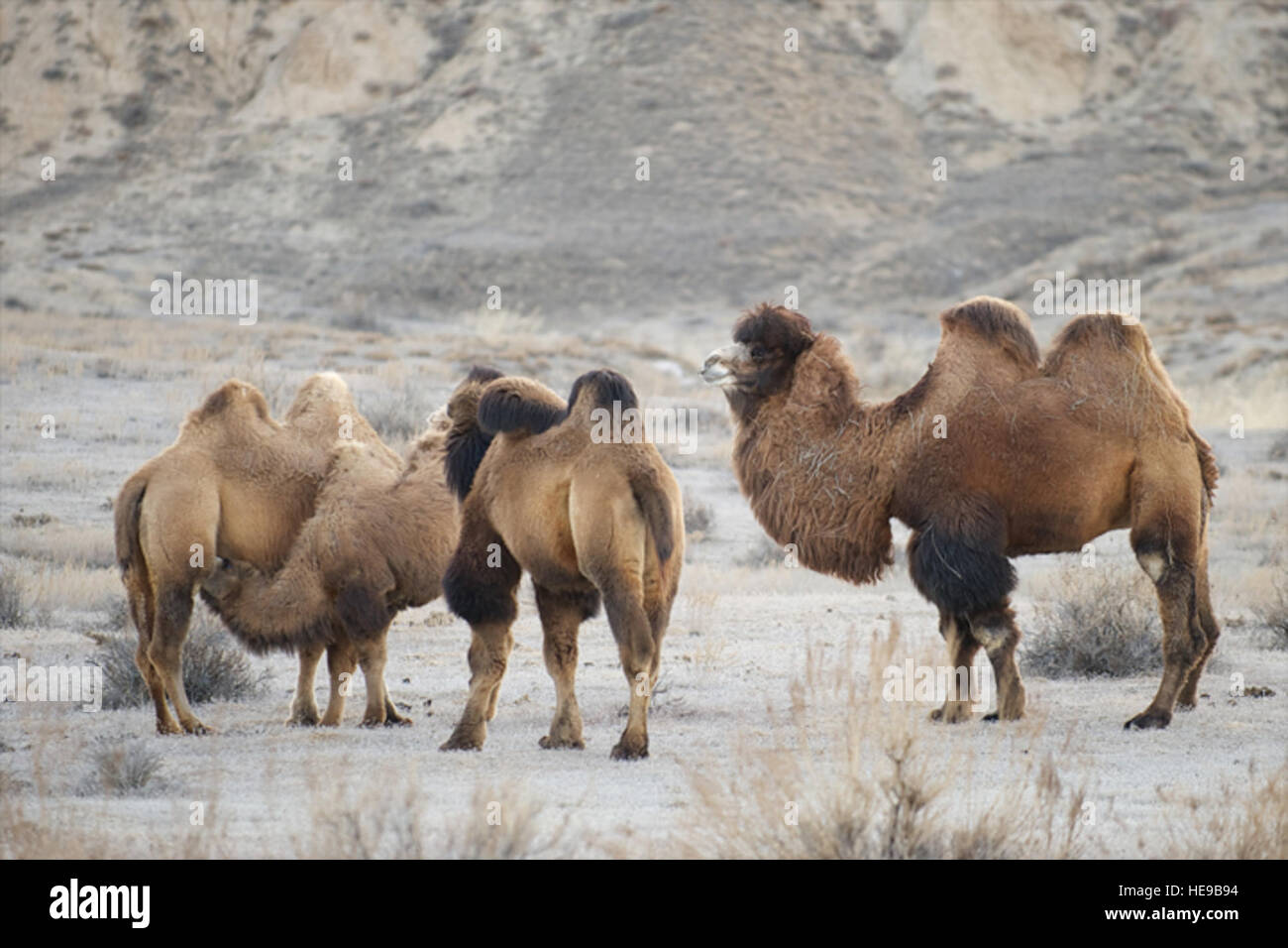 U s service members airmen hi-res stock photography and images - Alamy
