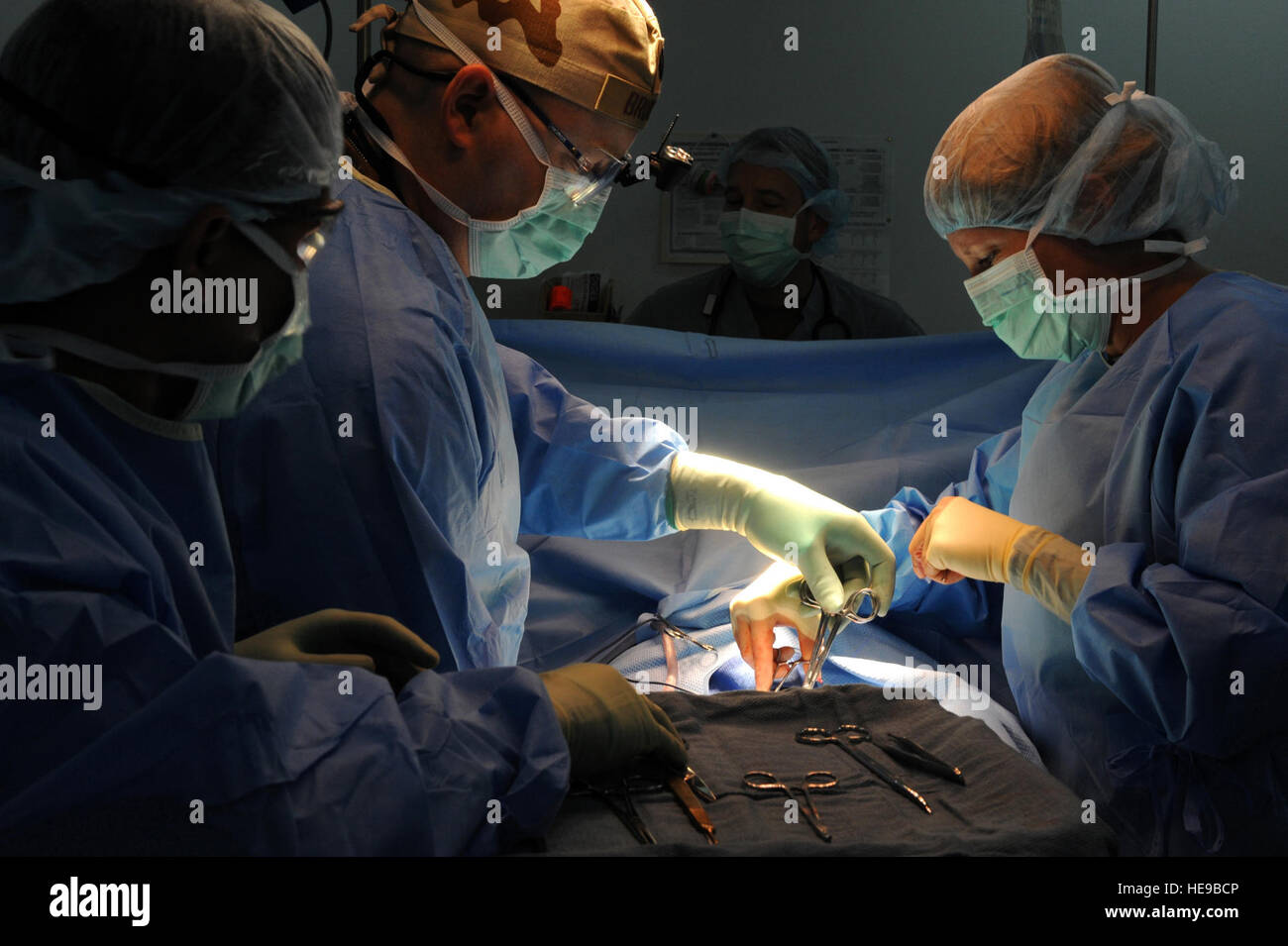 CJTF-HOA medical personnel perform surgery on a Djiboutian K-9 working ...