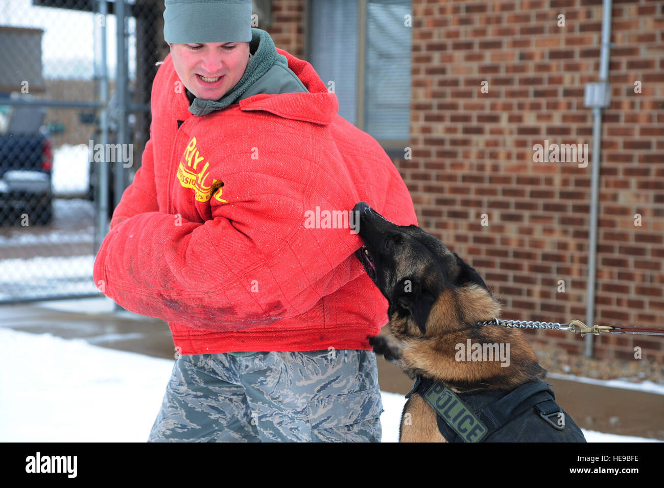 Zeus, 97th Security Forces Squadron military working dog, bites U.S ...