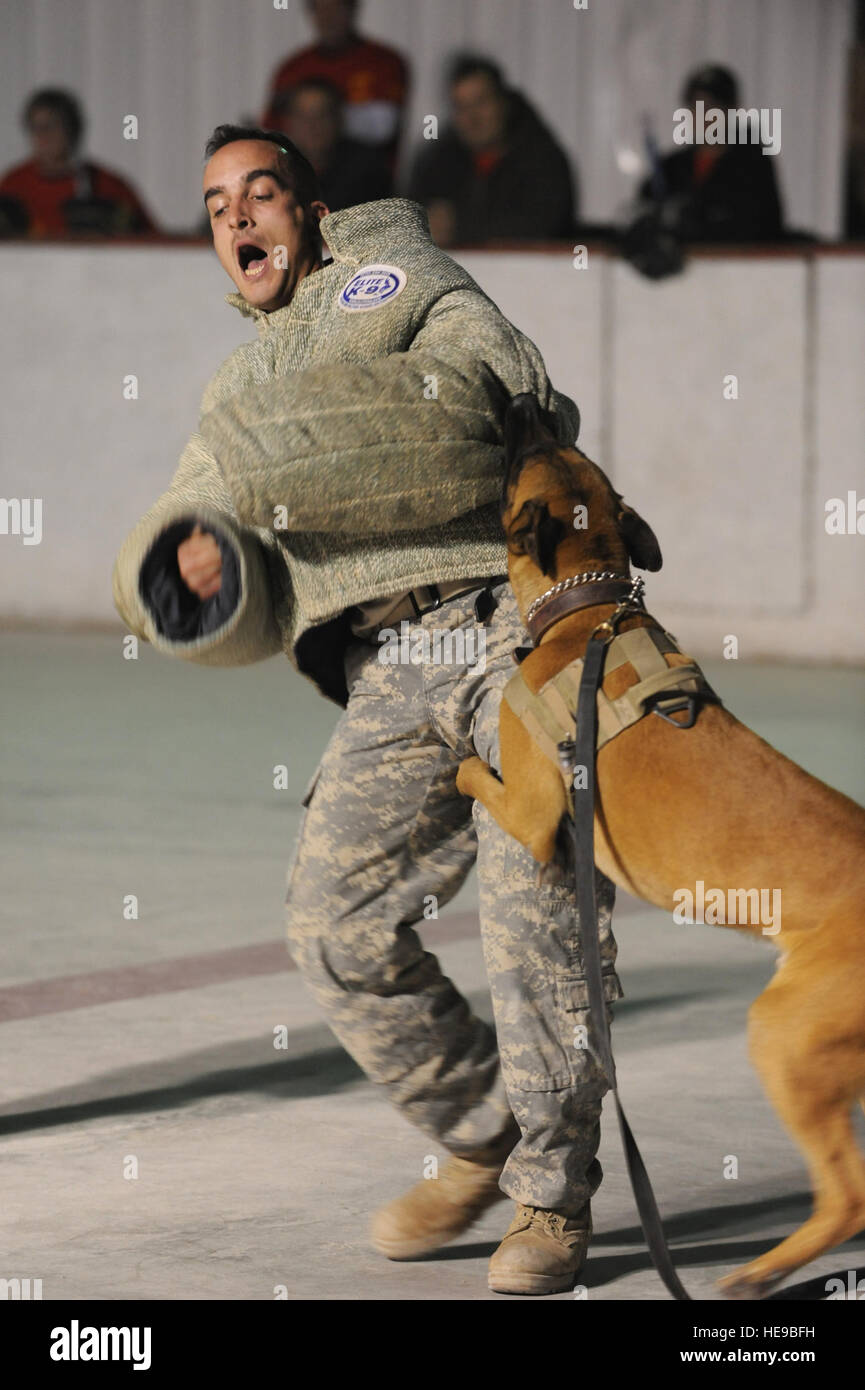 A U.S. Army soldier wears a decoy suit during a military working dog ...