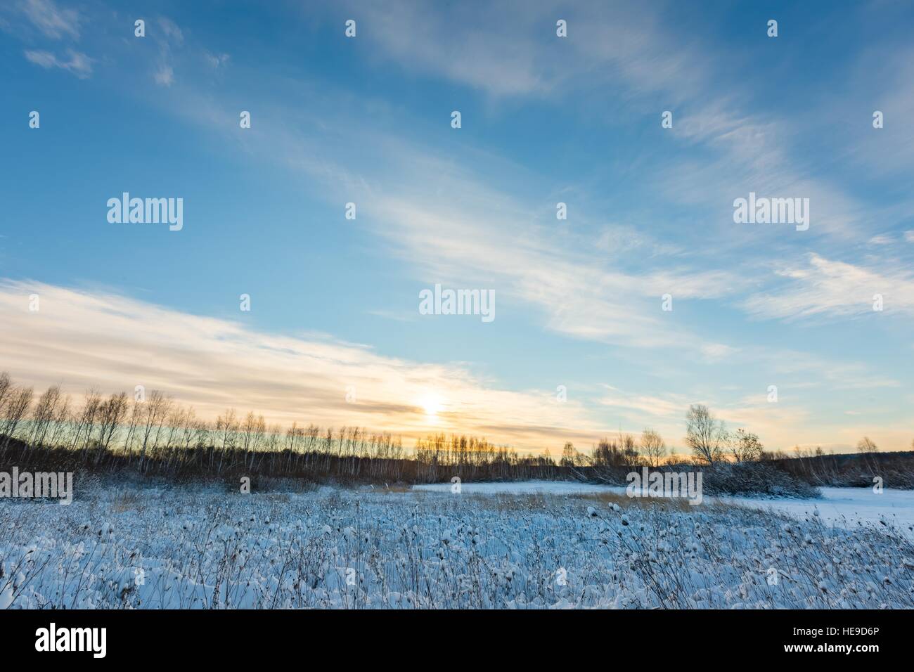 Beautiful winter field and trees landscape. Snow covered polish ...