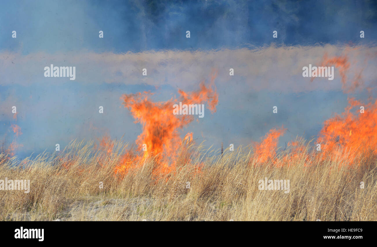 Controlled burning us hi-res stock photography and images - Alamy