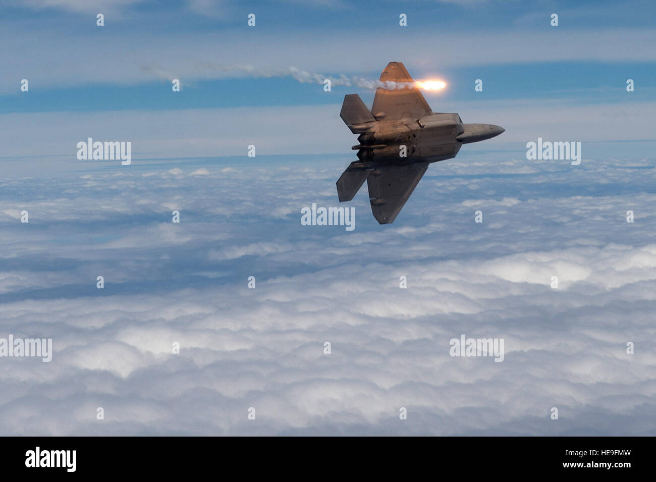 A U.S. Air Force F-22 Raptor from the 154th Wing, Joint Base Pearl ...