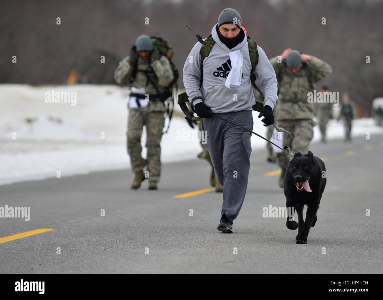 436th military working dog hi-res stock photography and images - Alamy