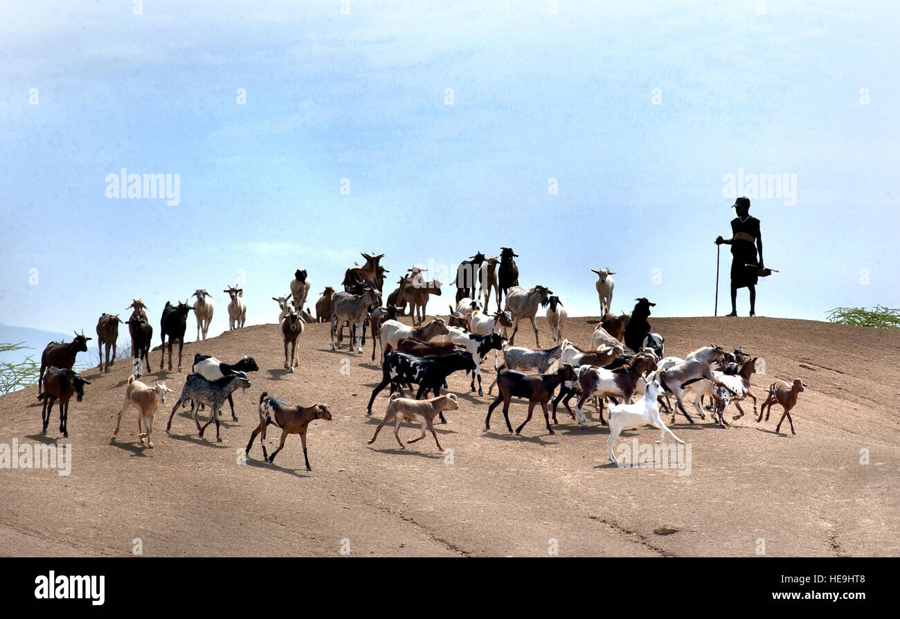 Raven and goat hi-res stock photography and images - Alamy