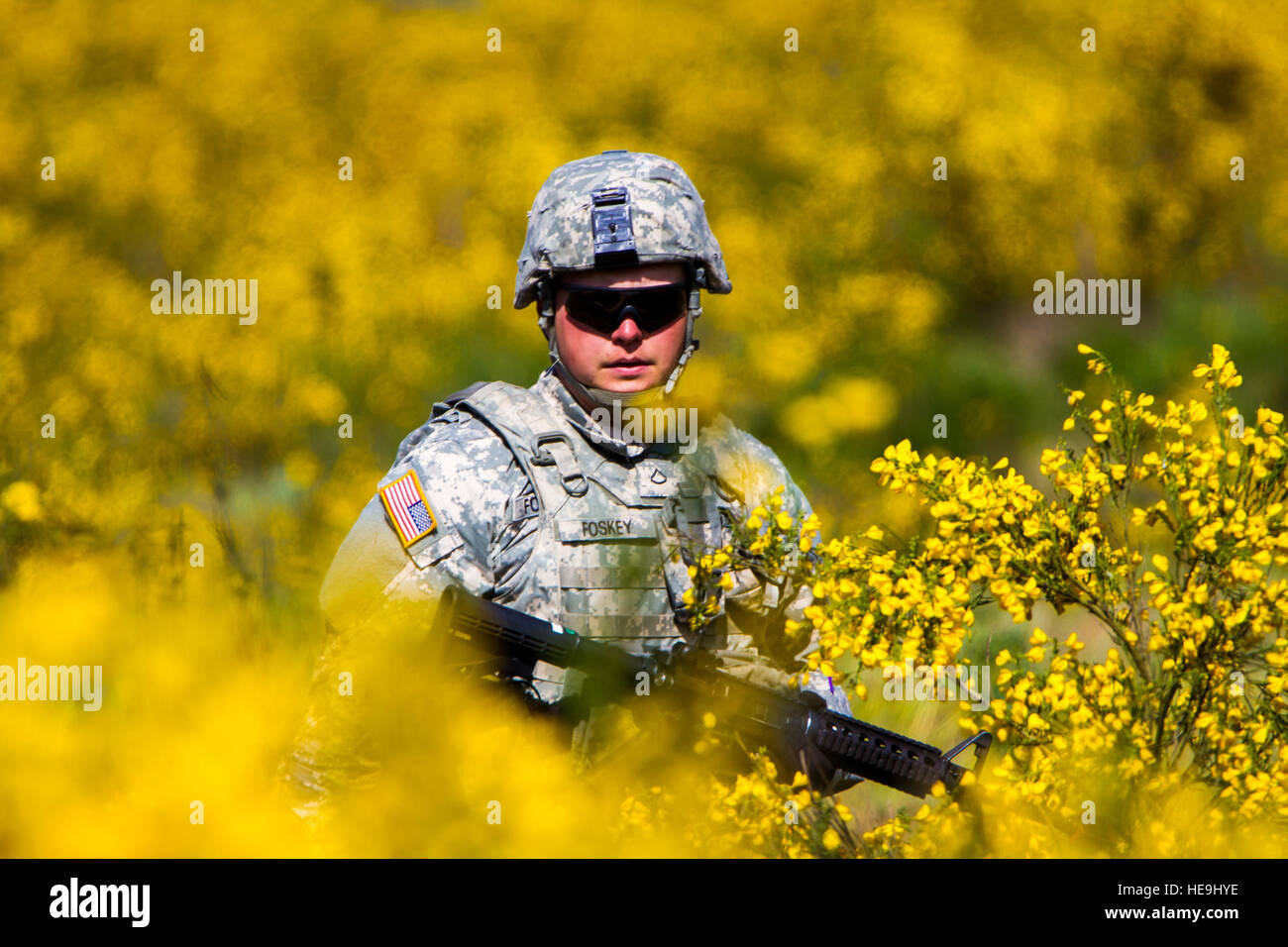 A U.S. Army Soldier, assigned to 46th Aviation Support Battalion, 16th ...