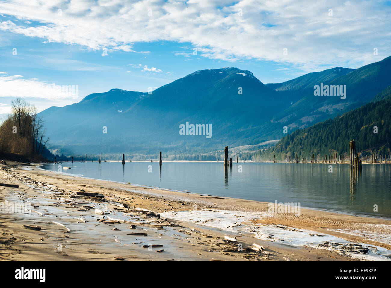 The Harrison River, near Harrison Mills, British Columbia, Canada Stock ...