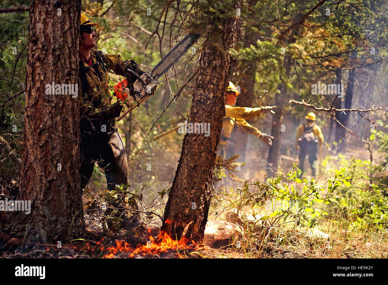 Vandenberg Air Force Base Hot Shot fire fighter Brad Mabery cuts a tree ...