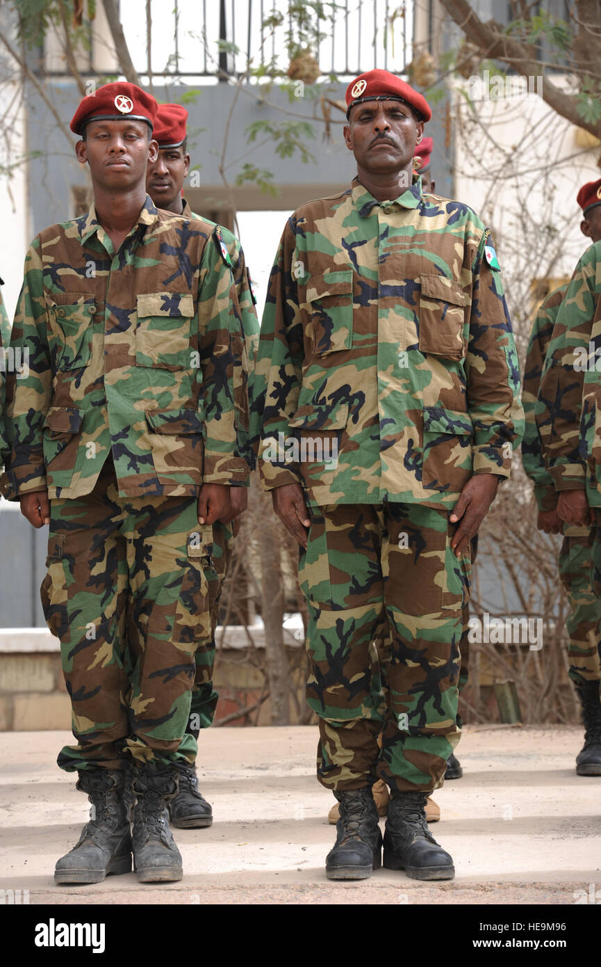 Djiboutian army soldiers stand in formation during their graduation ...