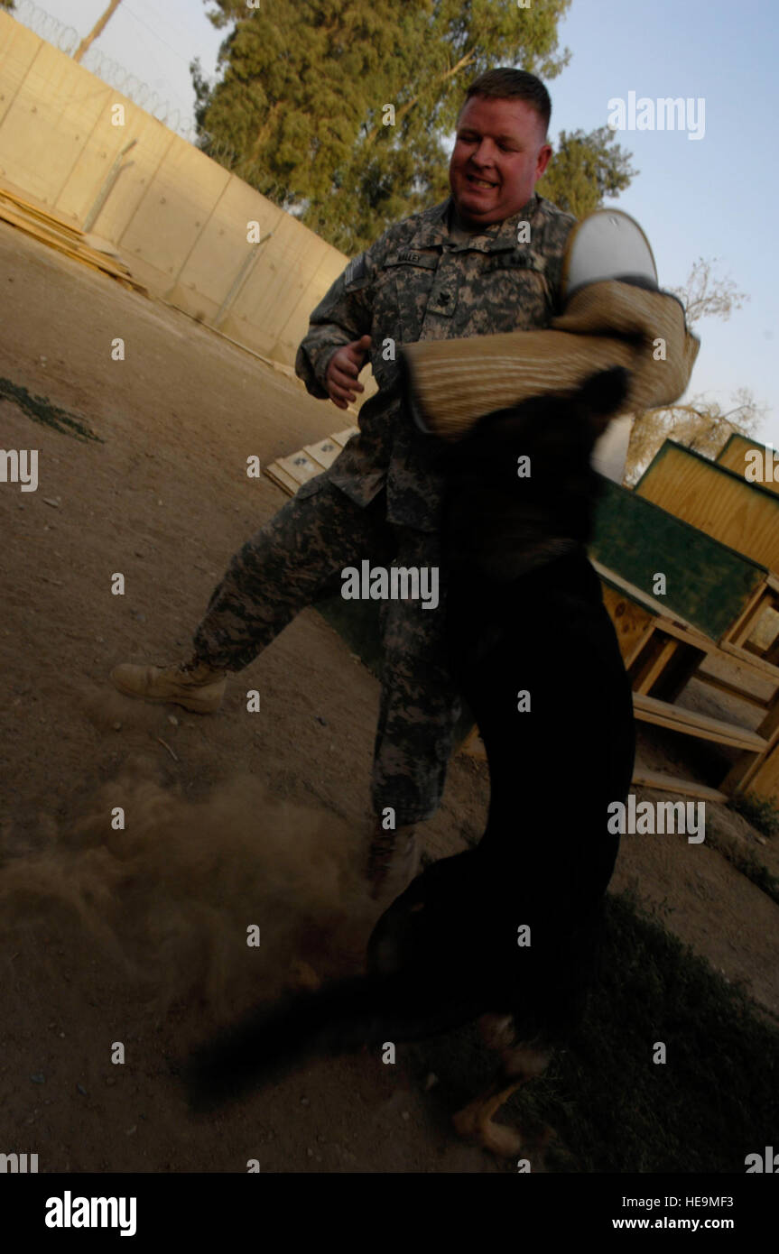 Petty Officer 1st Class Matthew Nalley, master at arms, a native of ...