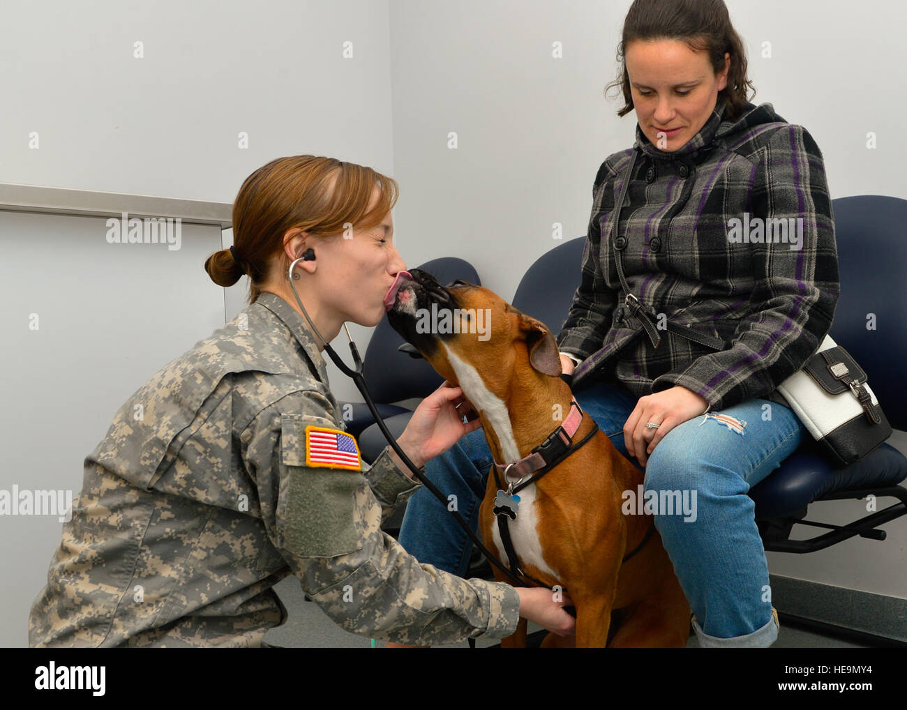 Army Spc. Sara McGlone, Veterinary Treatment Facility NCO-in charge ...