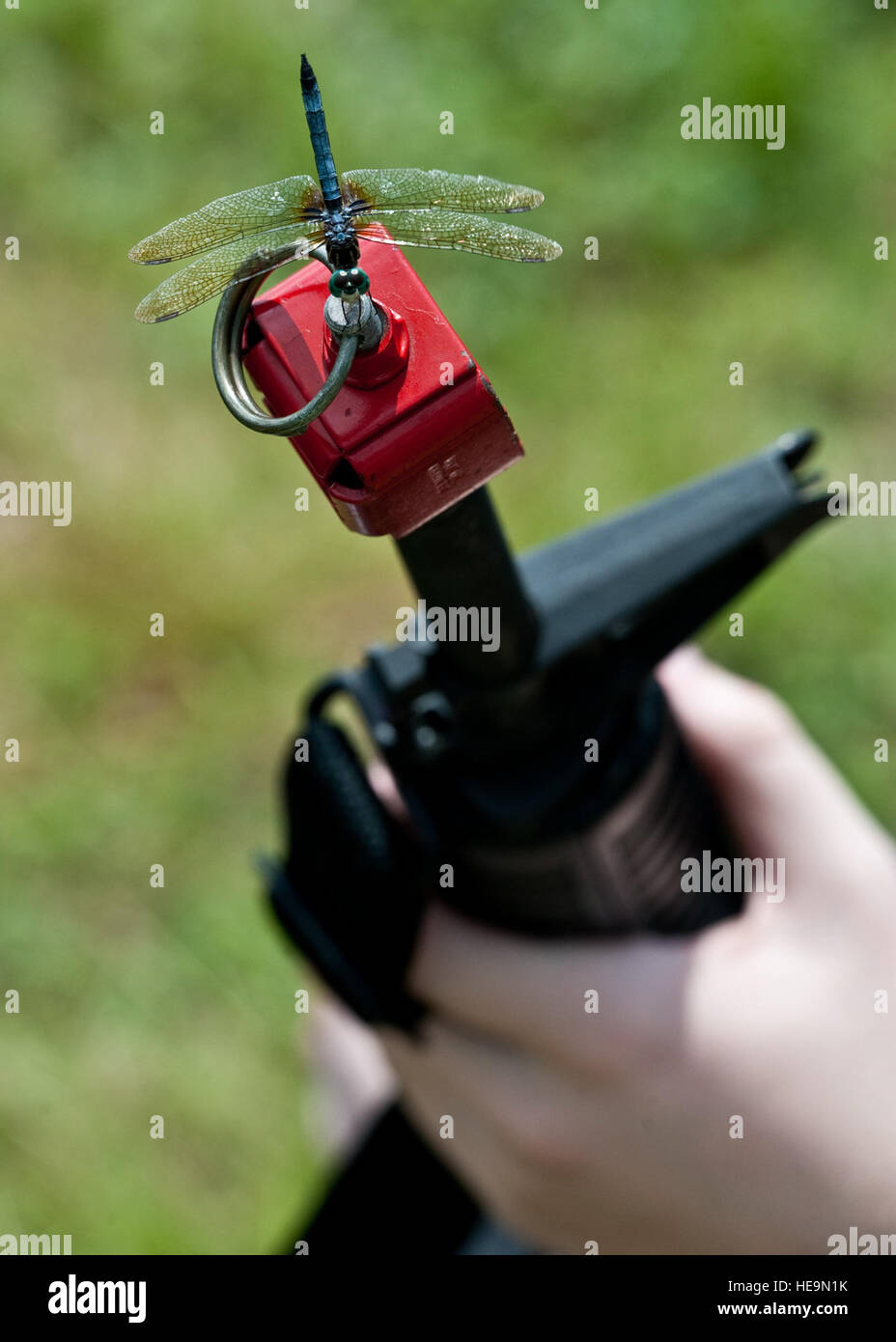 A dragonfly lands on top of the M16 of an airman participating in the ...