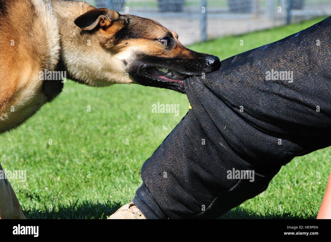 ELLSWORTH AIR FORCE BASE, S.D. -- Bak, 28th Security Forces Squadron ...
