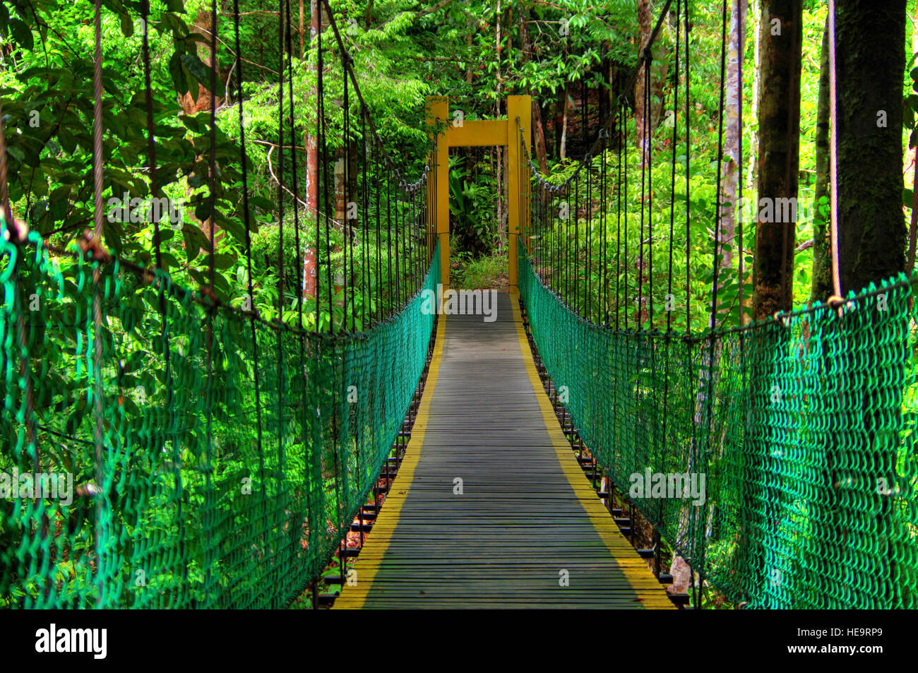 Hanging bridge in rain forest of Borneo Stock Photo - Alamy