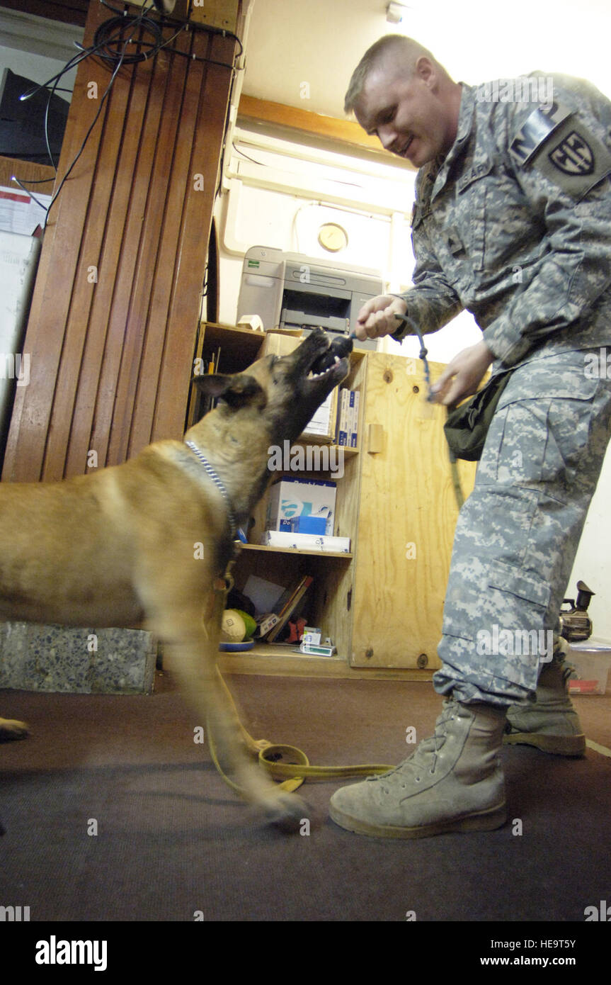 U.S. Army Sgt. Jason Defelice rewards Fin, an explosives canine, after ...