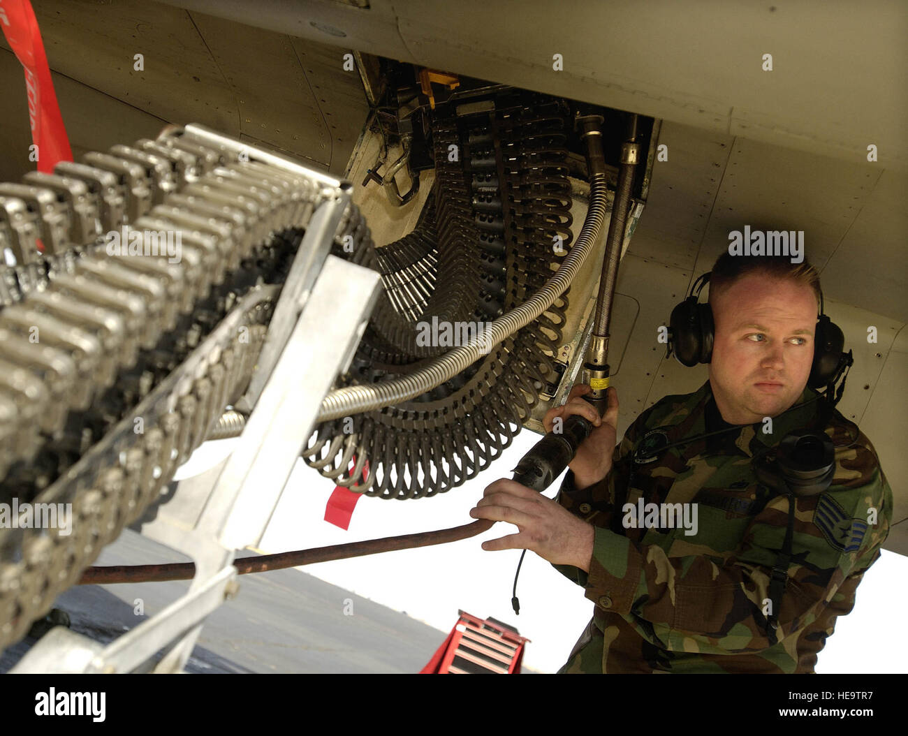 First year eagle hi-res stock photography and images - Alamy