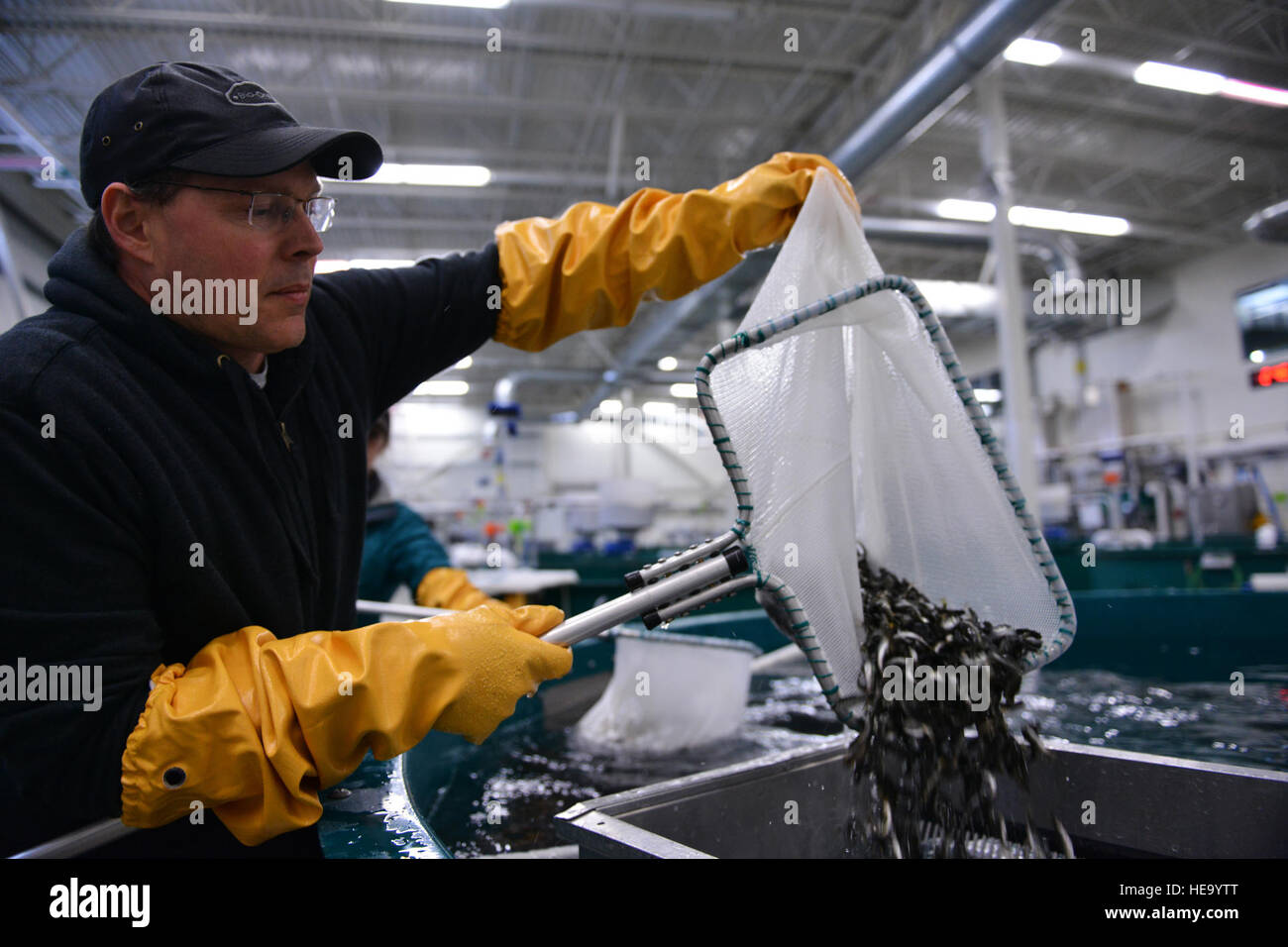 Bob McFadden, a fish culturist with the William Jack Hernandez Sport ...