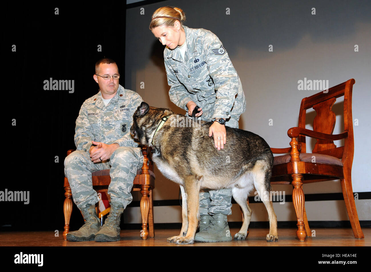 U.S. Air Force Staff Sgt. Alexandra Springman, 355th Security Forces ...