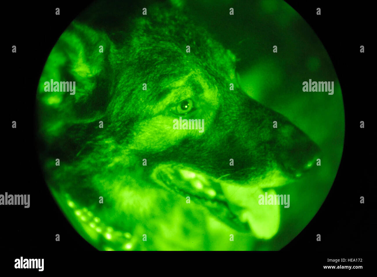 Air force personnel maintain hi-res stock photography and images - Alamy