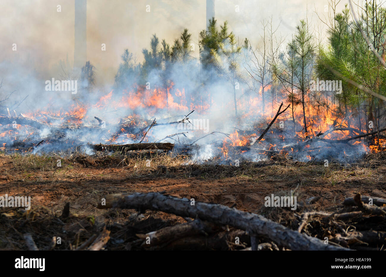 Excess brush burns during a controlled fire at Barksdale Air Force Base ...