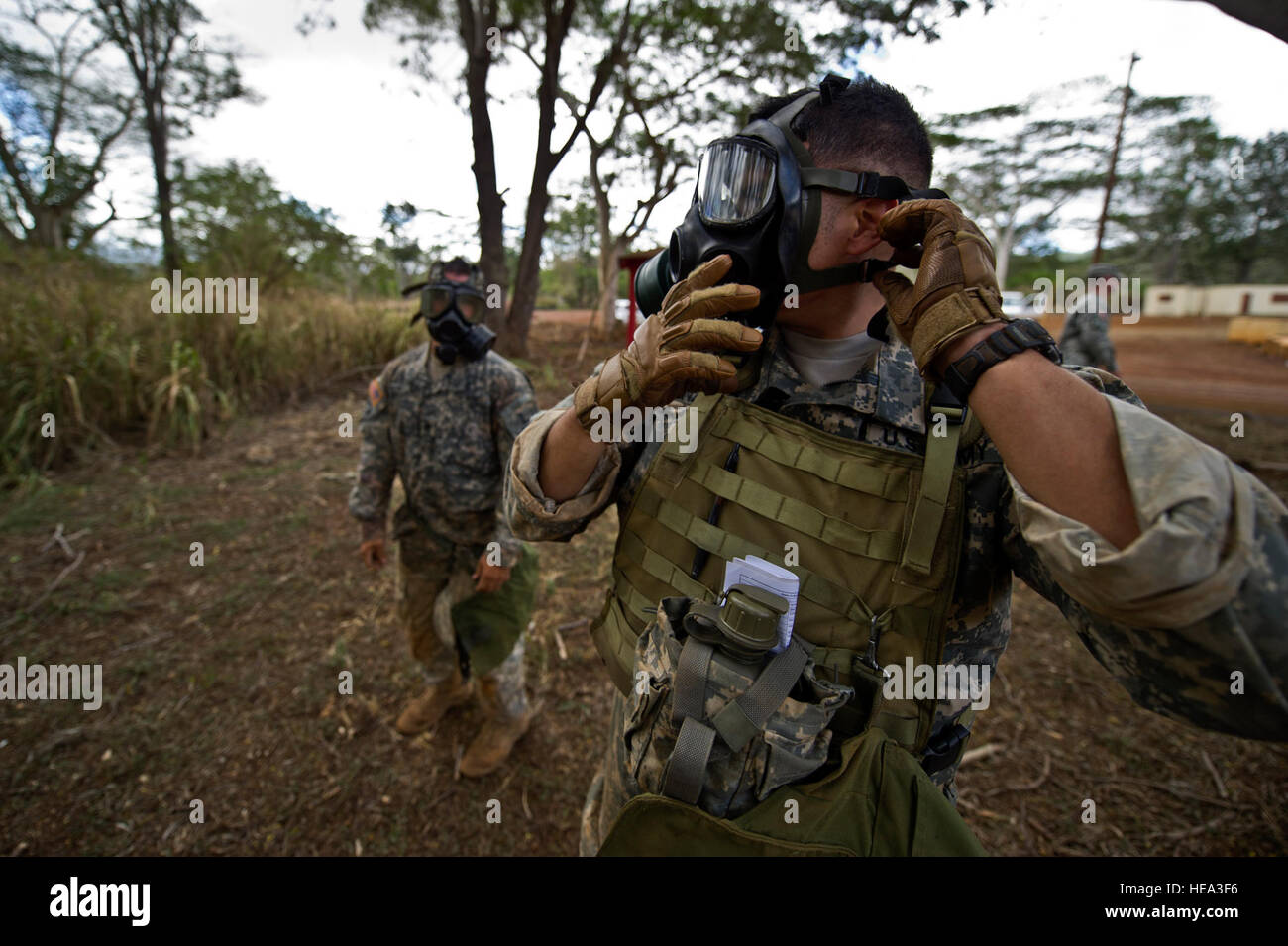 U s army medical chemical hi-res stock photography and images - Alamy