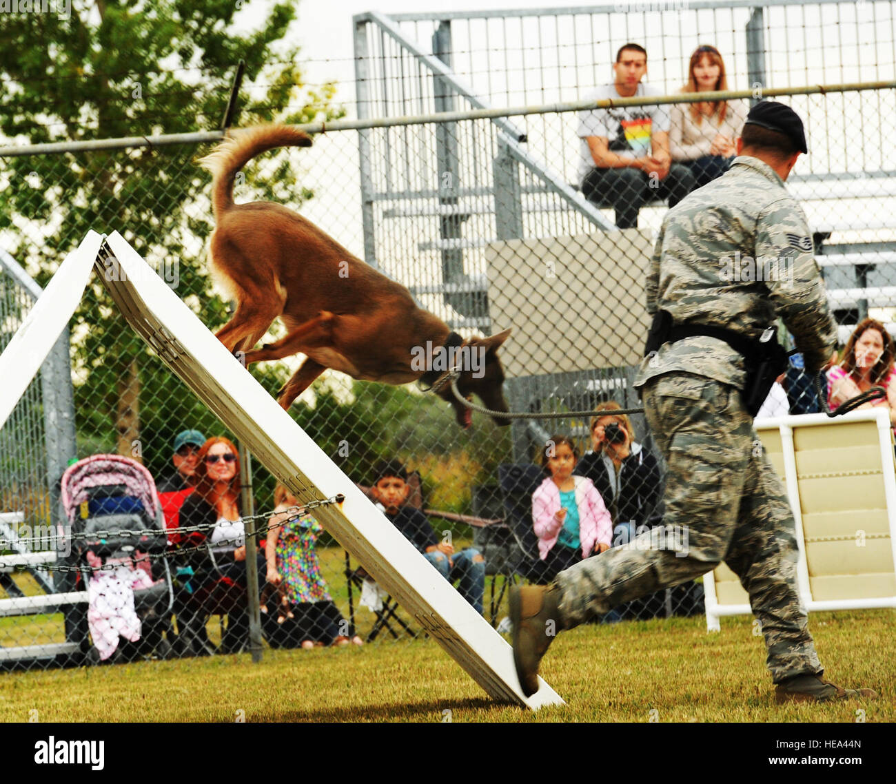 Staff Sgt. David Wyrick, 5th Security Forces military working dog ...