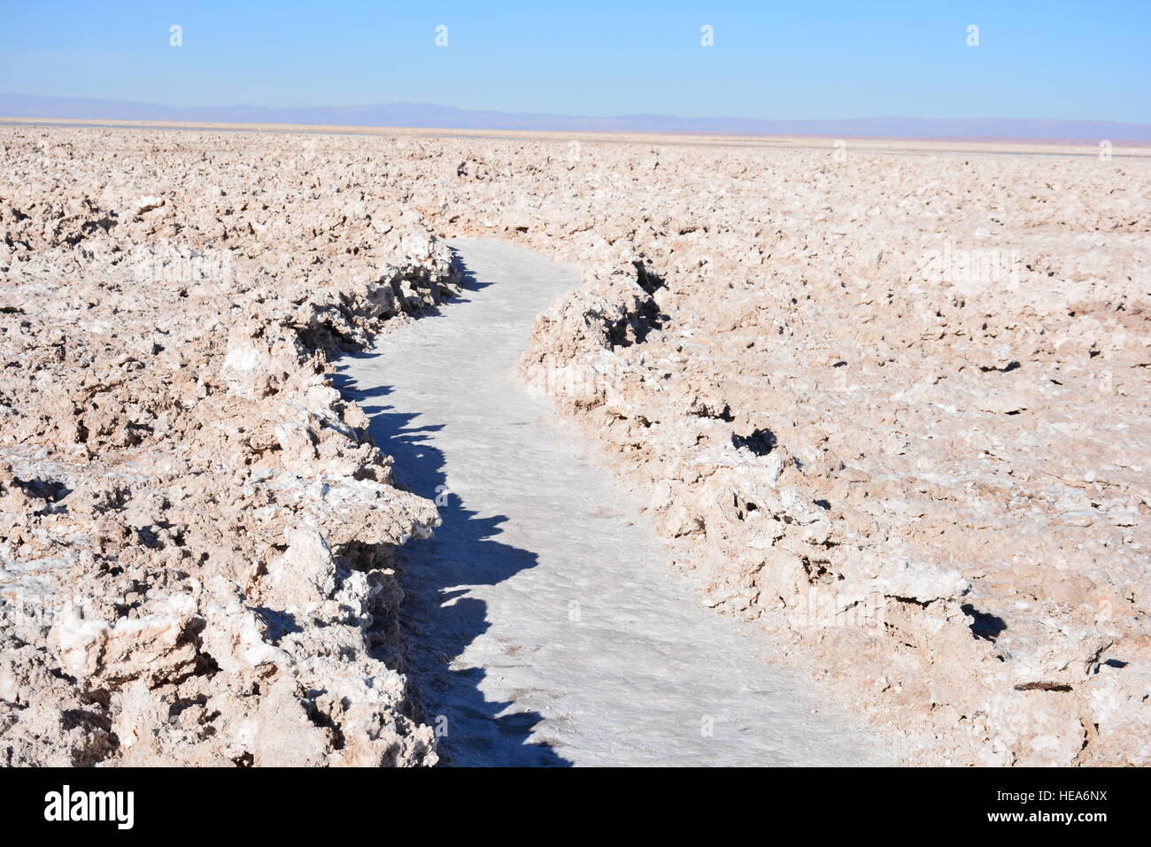 Salt flats lake in Atacama desert Chile Stock Photo - Alamy