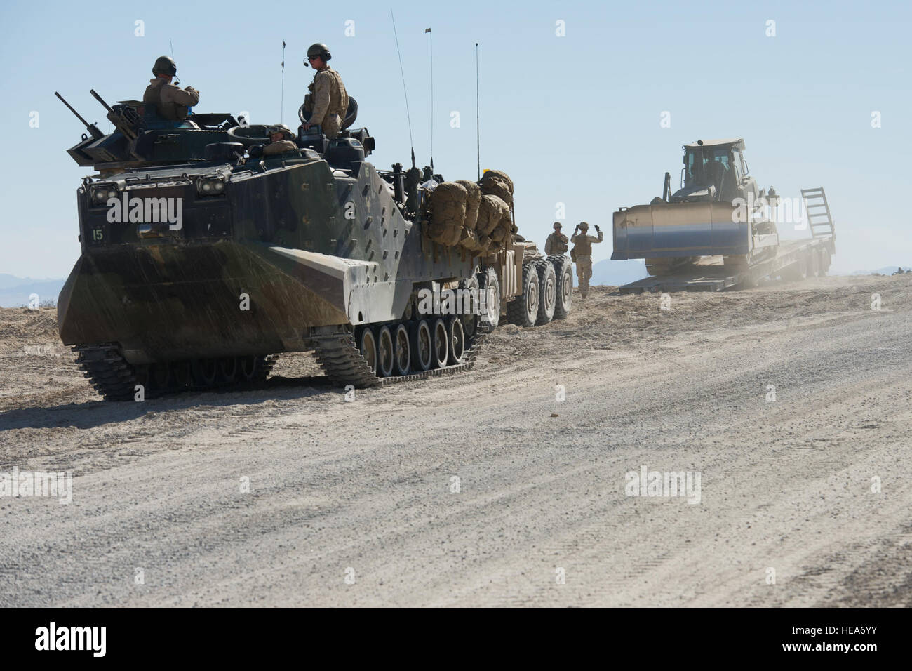 Coyote ttecg hi-res stock photography and images - Alamy