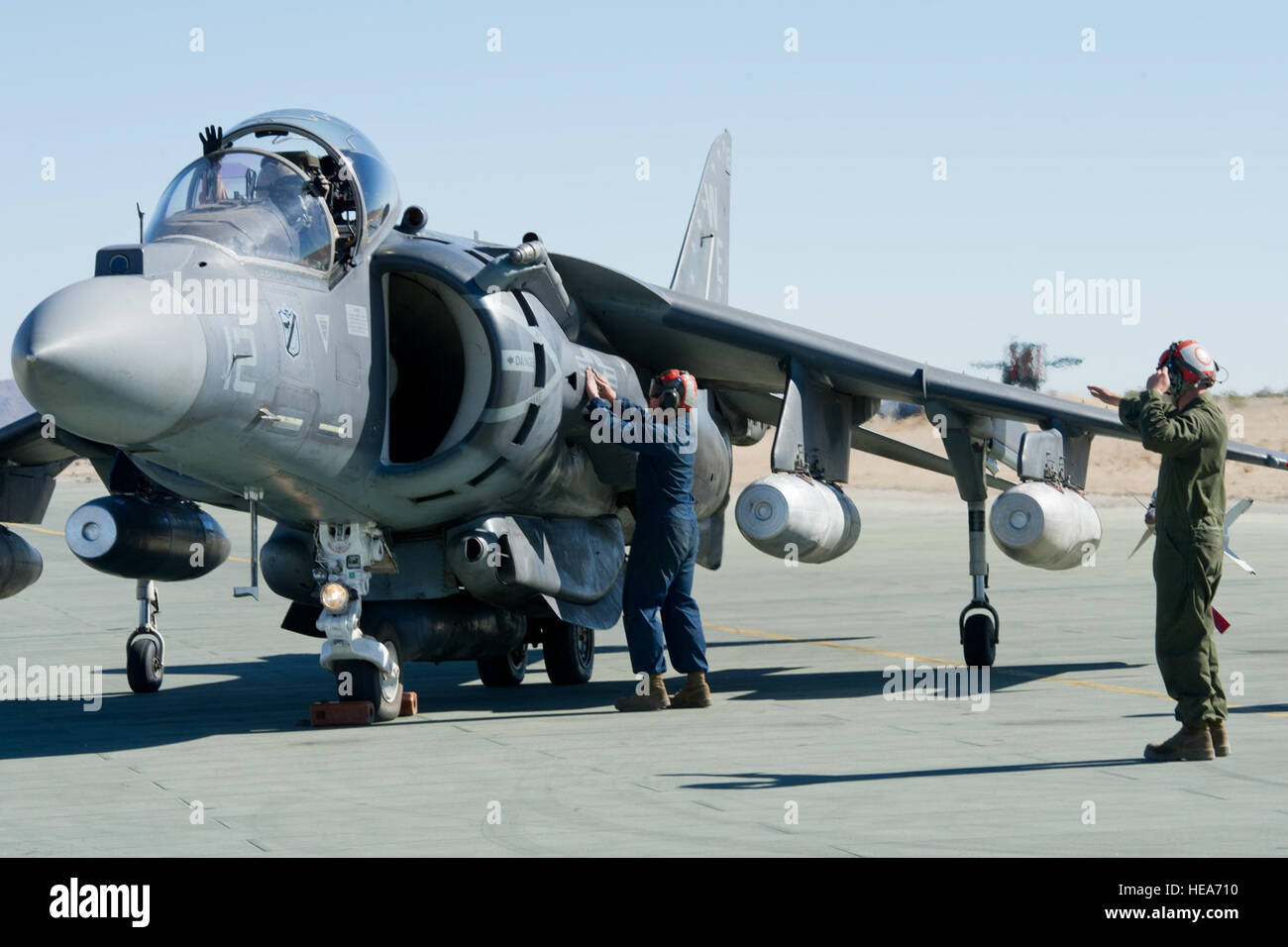 Coyote ttecg hi-res stock photography and images - Alamy