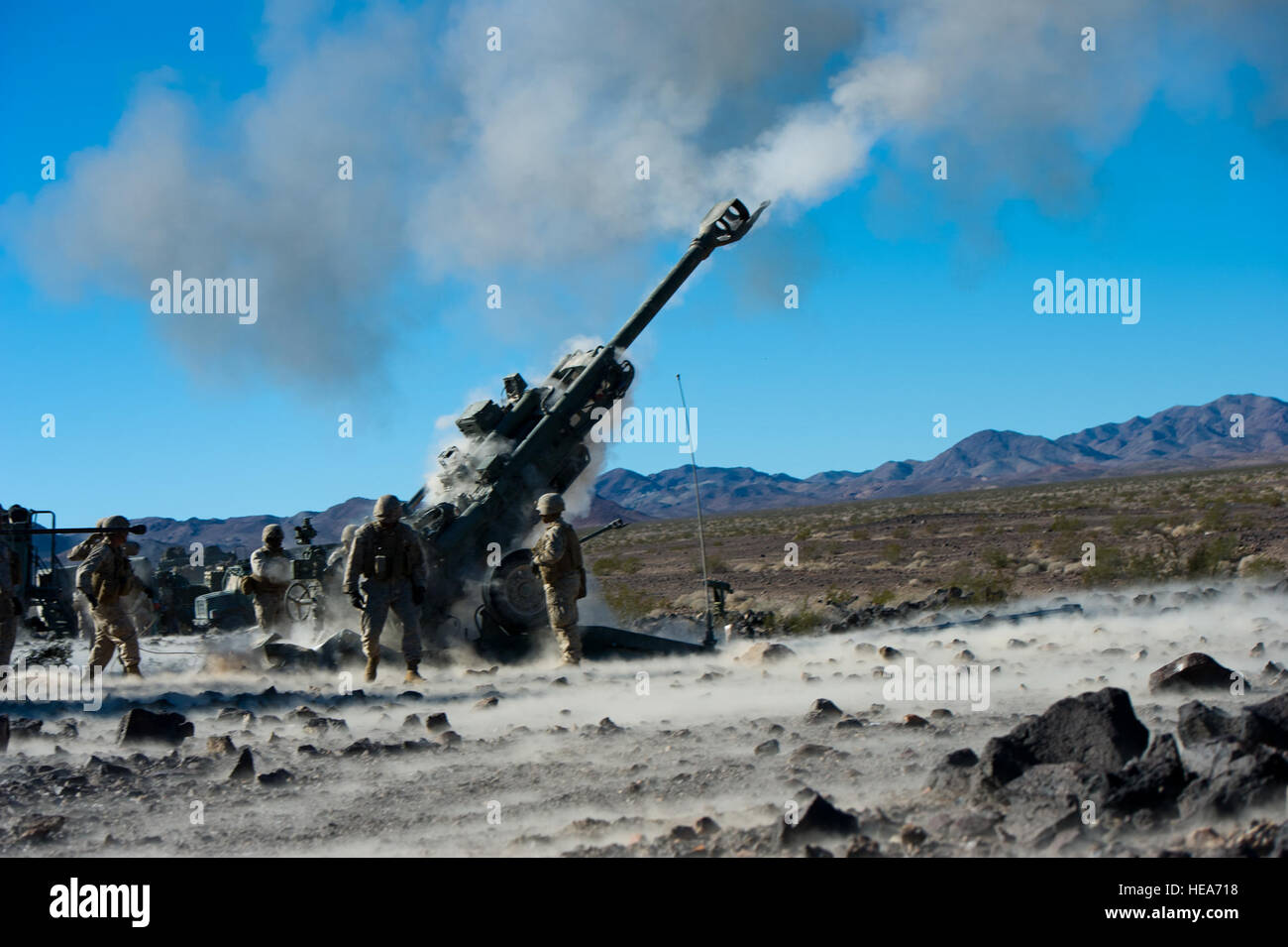 Coyote ttecg hi-res stock photography and images - Alamy