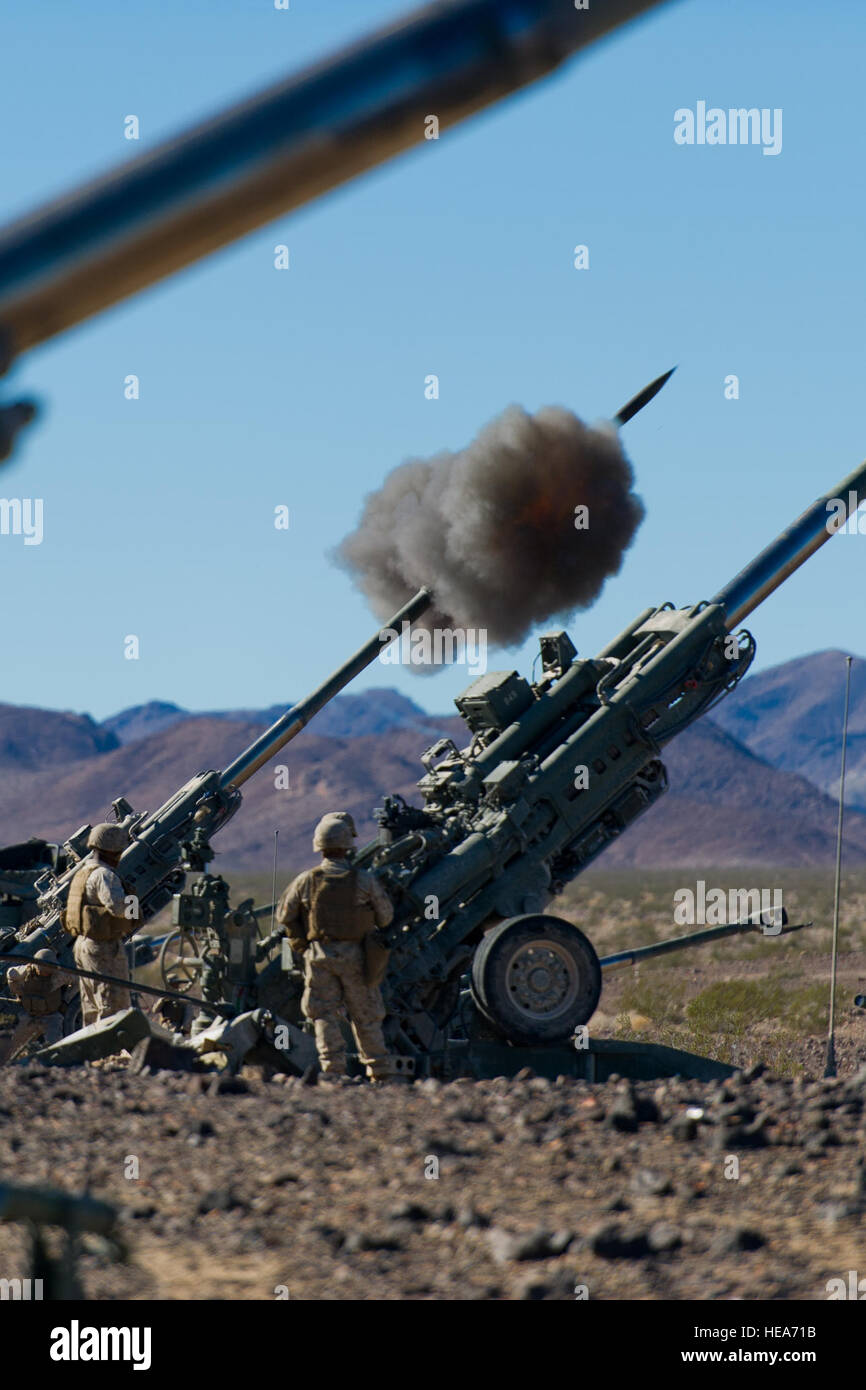 Coyote ttecg hi-res stock photography and images - Alamy