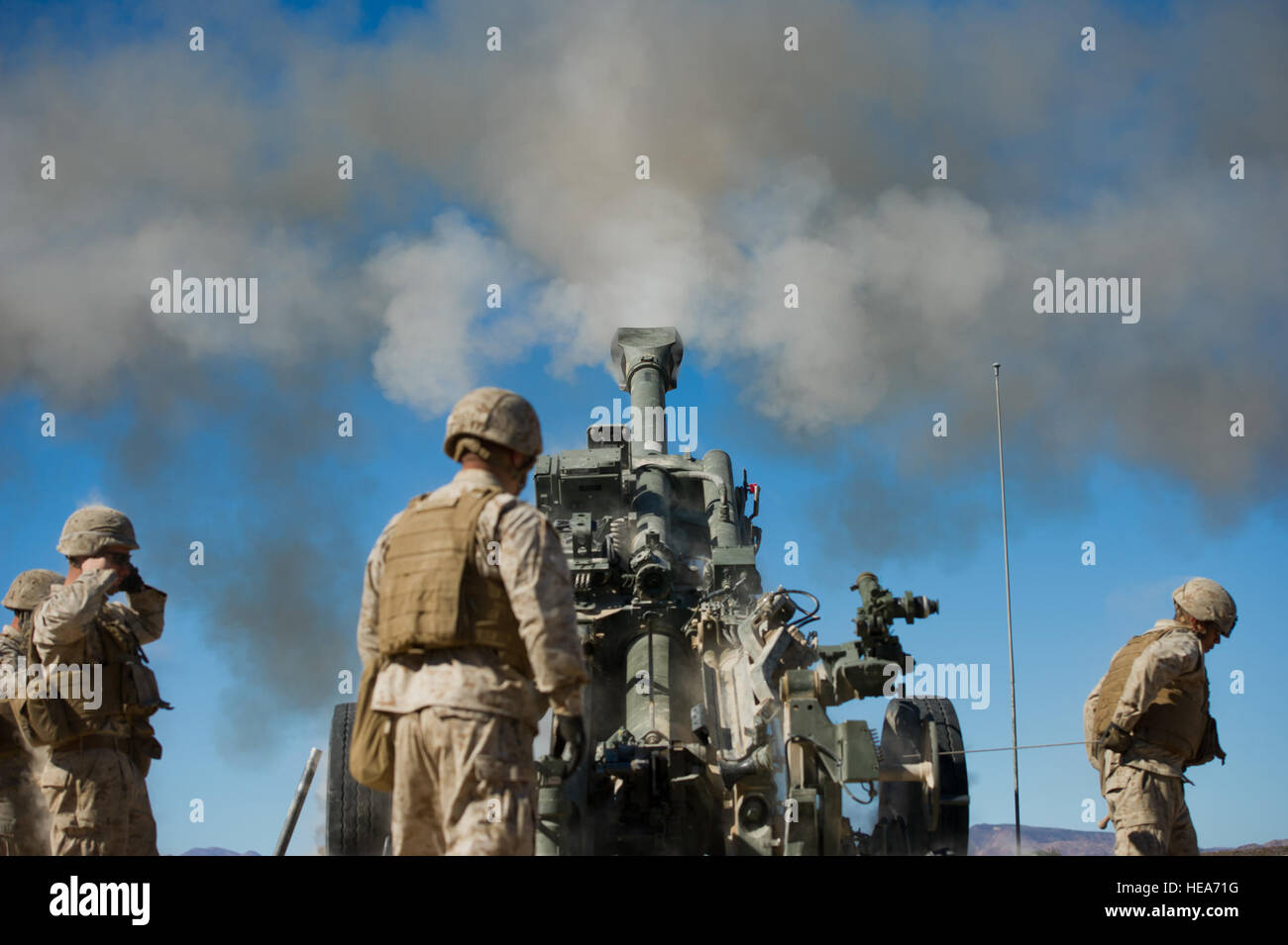 Coyote ttecg hi-res stock photography and images - Alamy