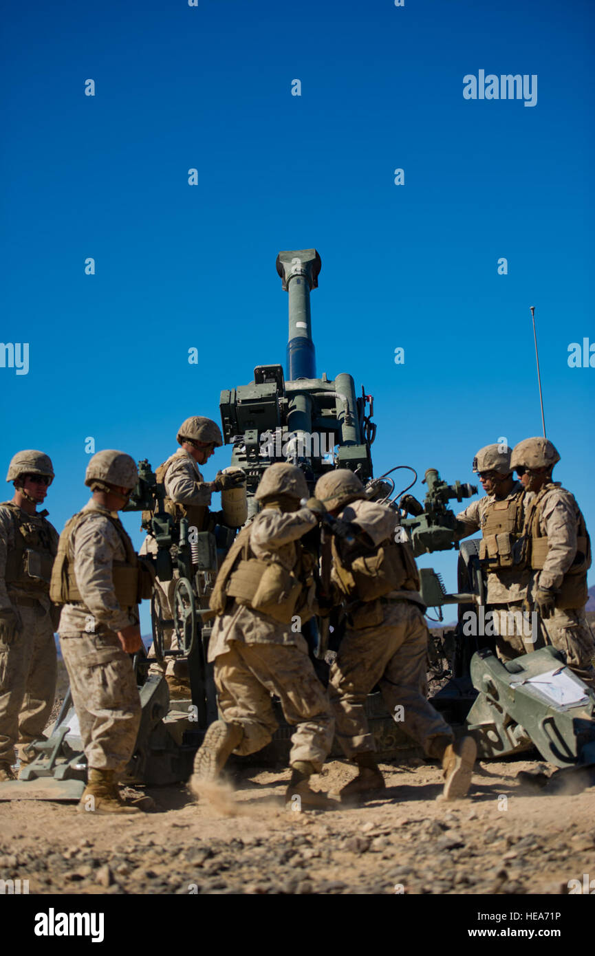 Coyote ttecg hi-res stock photography and images - Alamy