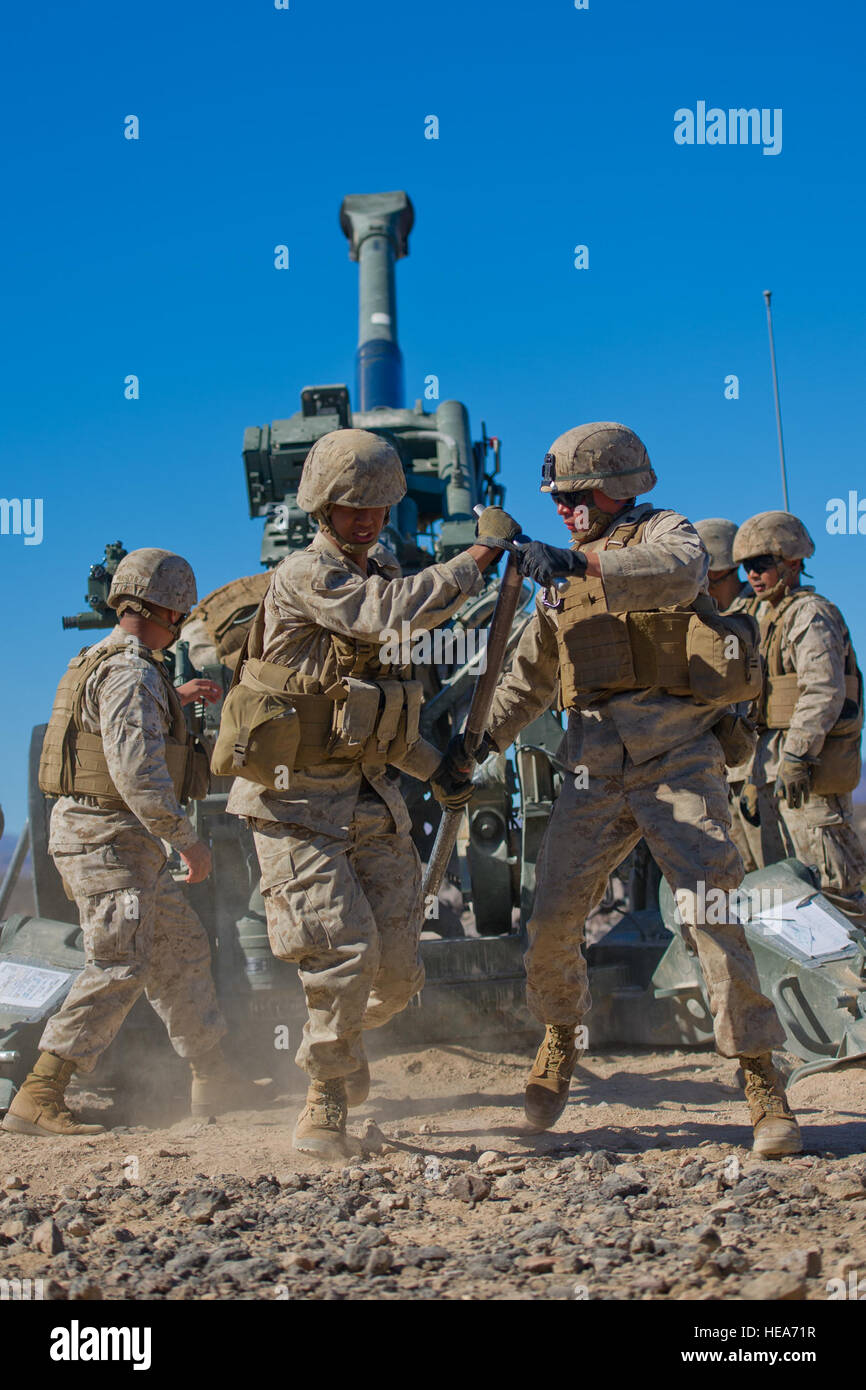 Coyote ttecg hi-res stock photography and images - Alamy