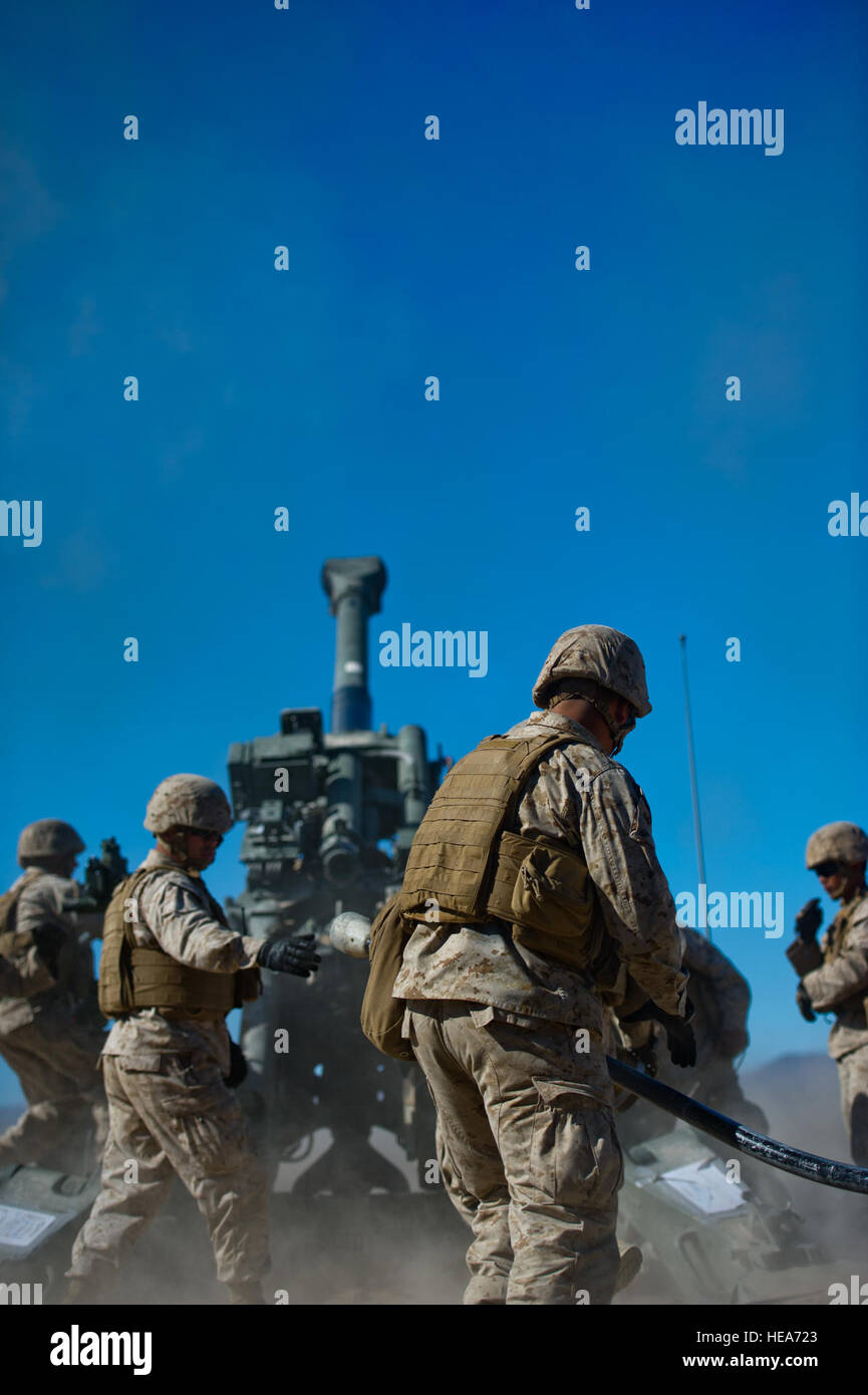 Coyote ttecg hi-res stock photography and images - Alamy