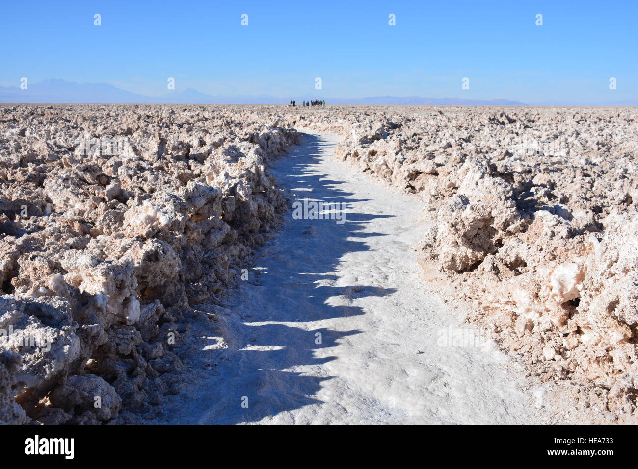Salt flats lake in Atacama desert Chile Stock Photo - Alamy
