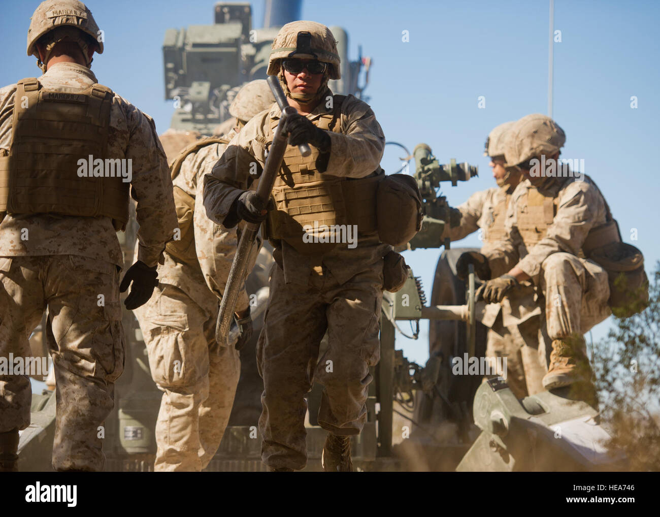 Coyote ttecg hi-res stock photography and images - Alamy