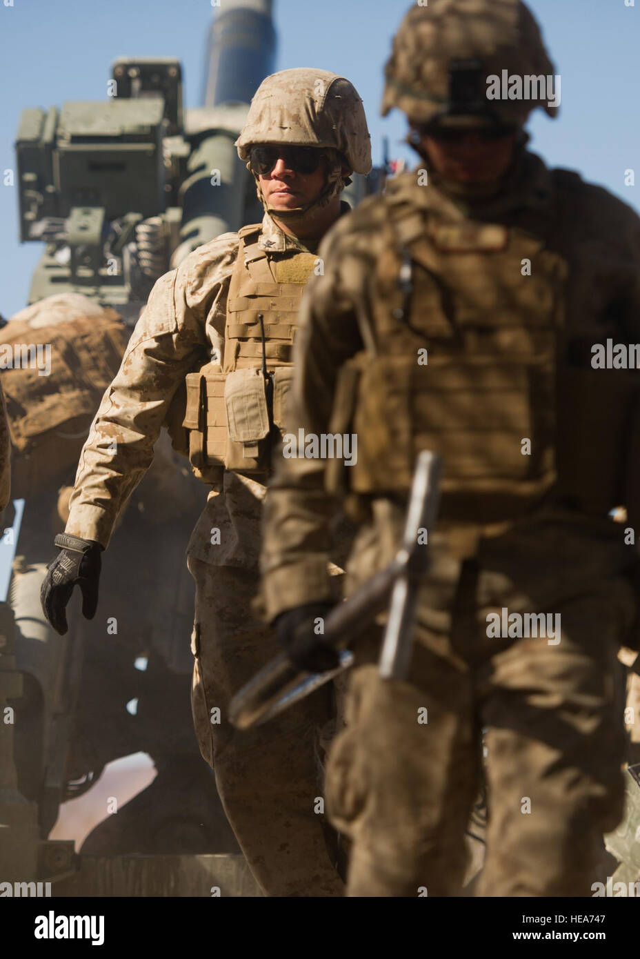 Coyote ttecg hi-res stock photography and images - Alamy