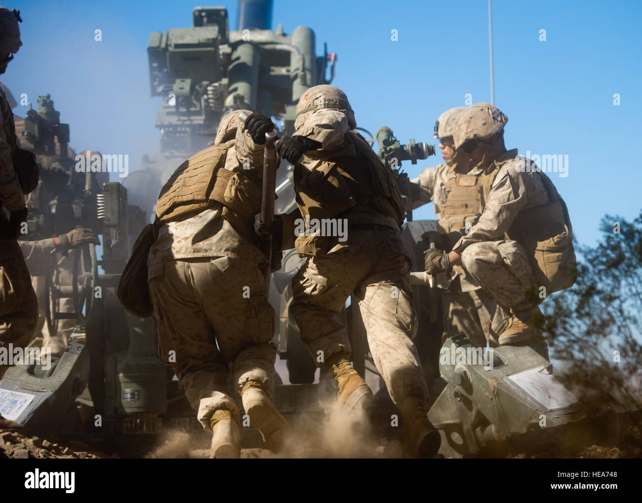 Coyote ttecg hi-res stock photography and images - Alamy