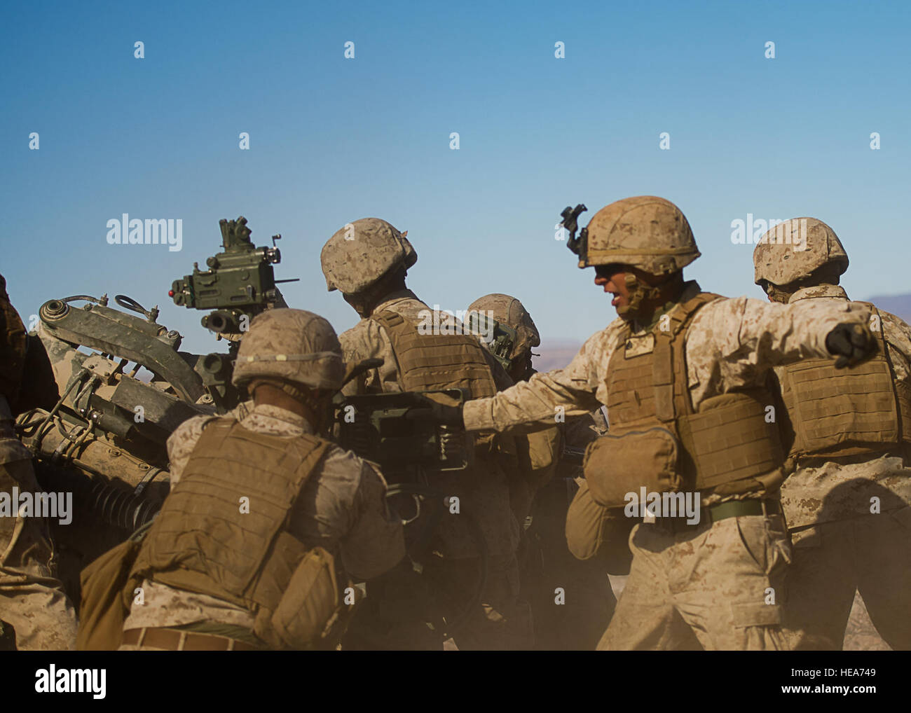 Coyote ttecg hi-res stock photography and images - Alamy