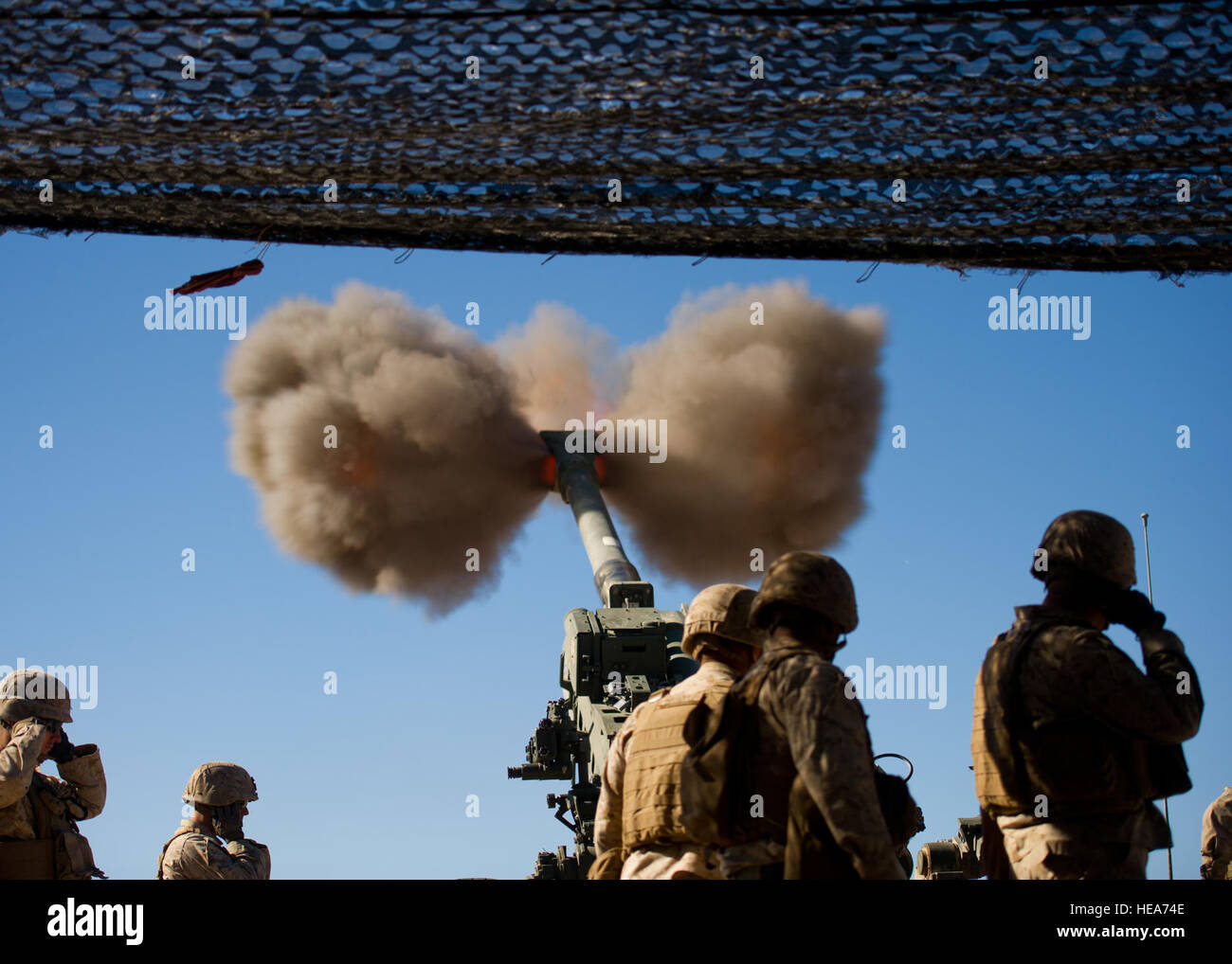 Coyote ttecg hi-res stock photography and images - Alamy