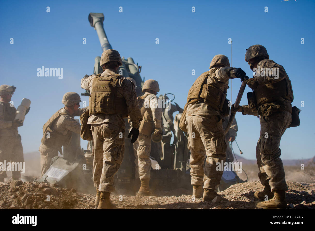 Coyote ttecg hi-res stock photography and images - Alamy