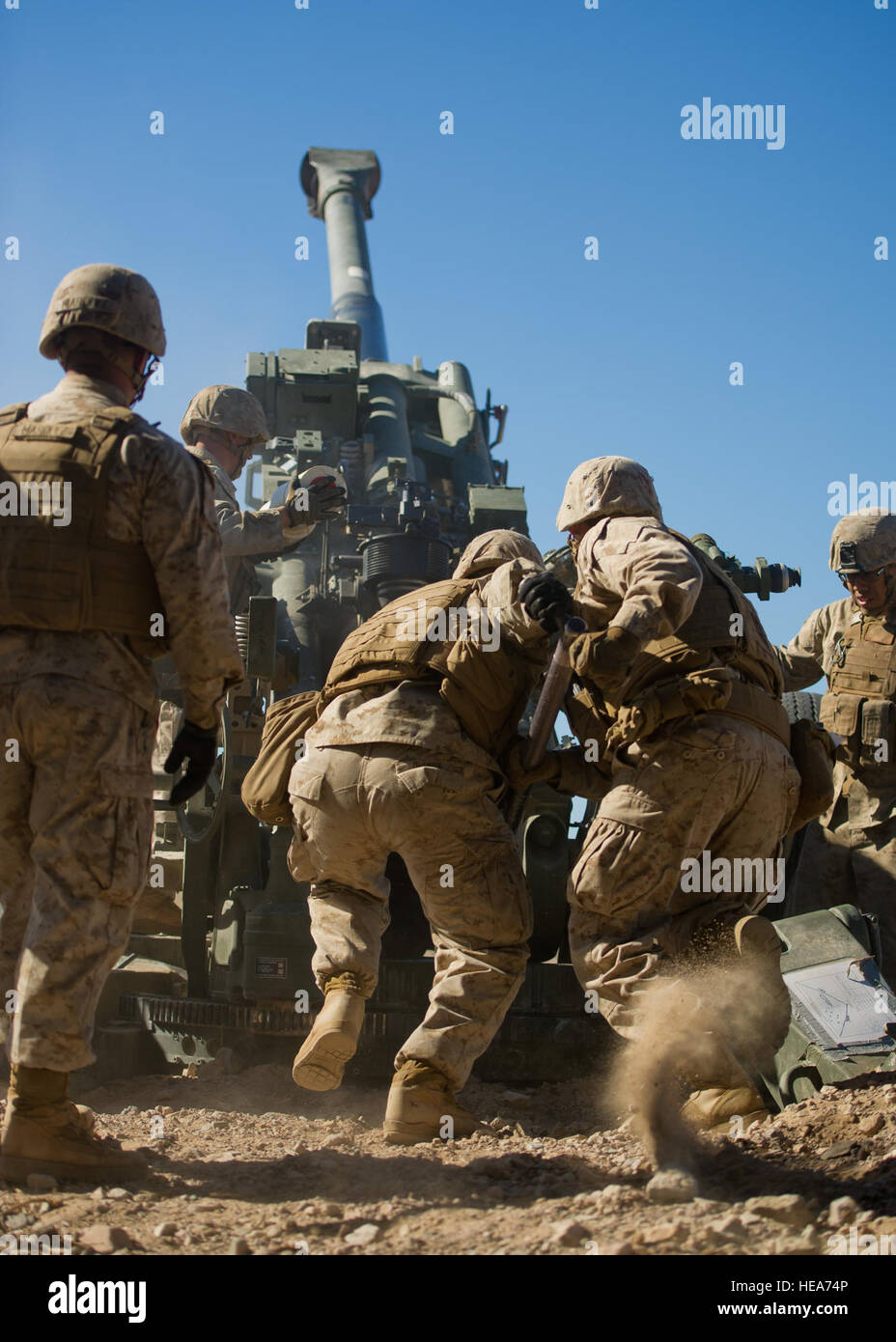 Coyote ttecg hi-res stock photography and images - Alamy