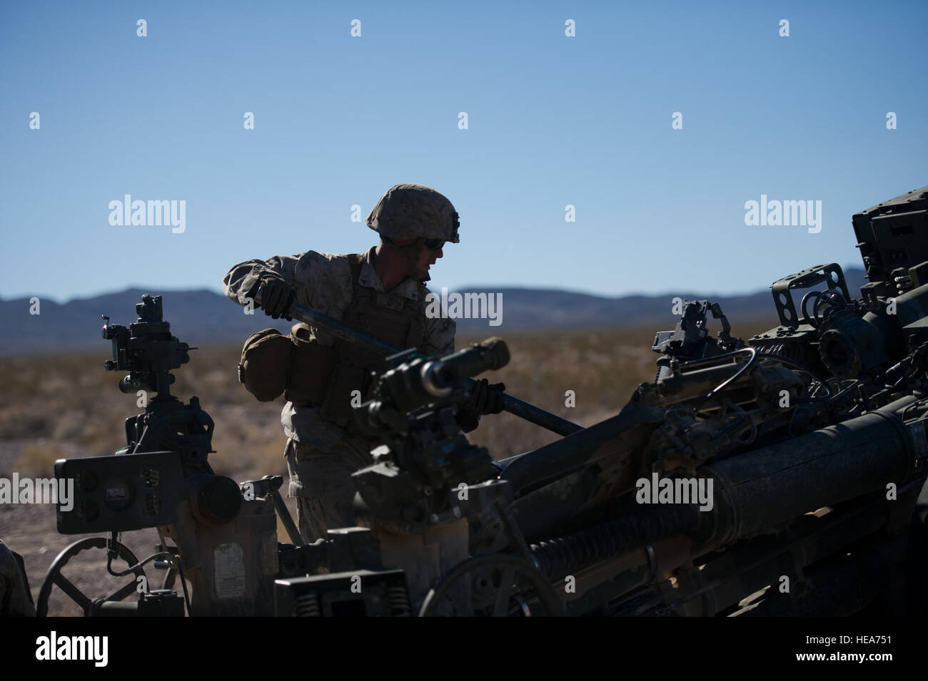 Coyote ttecg hi-res stock photography and images - Alamy