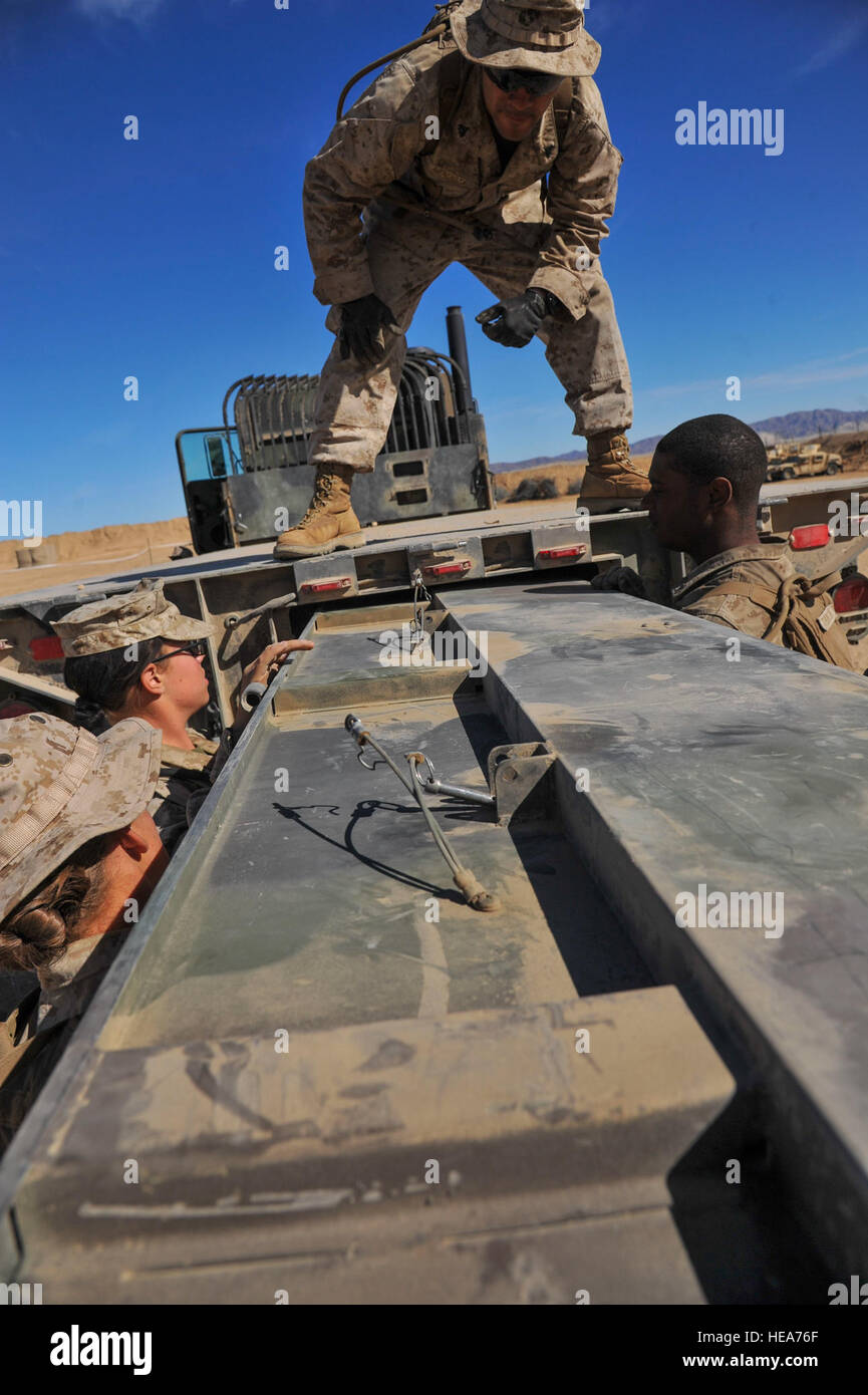 Us marines corps usmc marines from the 1st battalion hi-res stock ...