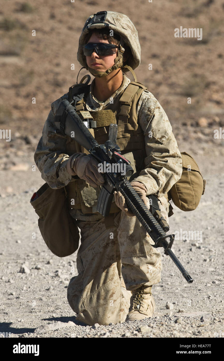 U s marine combat engineer hi-res stock photography and images - Alamy